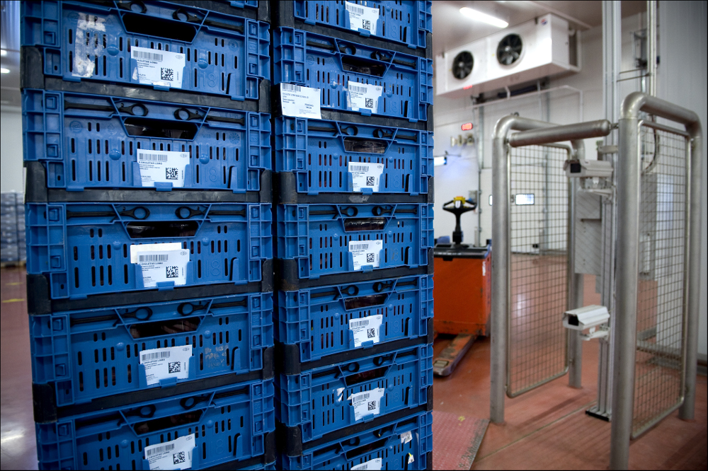 ImageID better than RFID? | Zetes